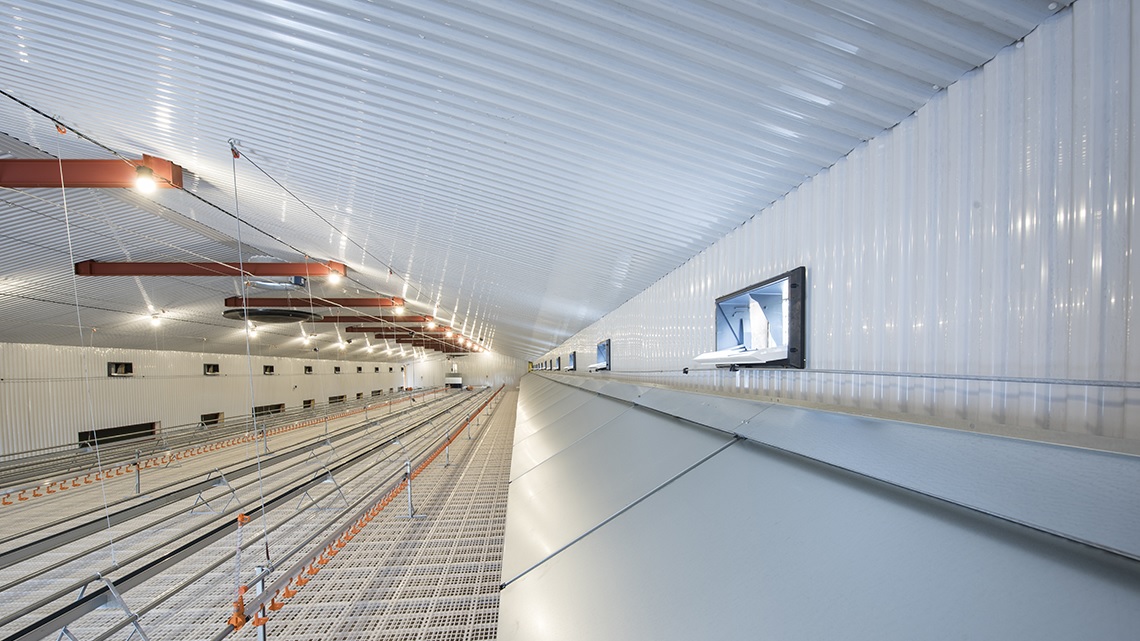 Marvec CS Agri hygienic cladding poultry shed